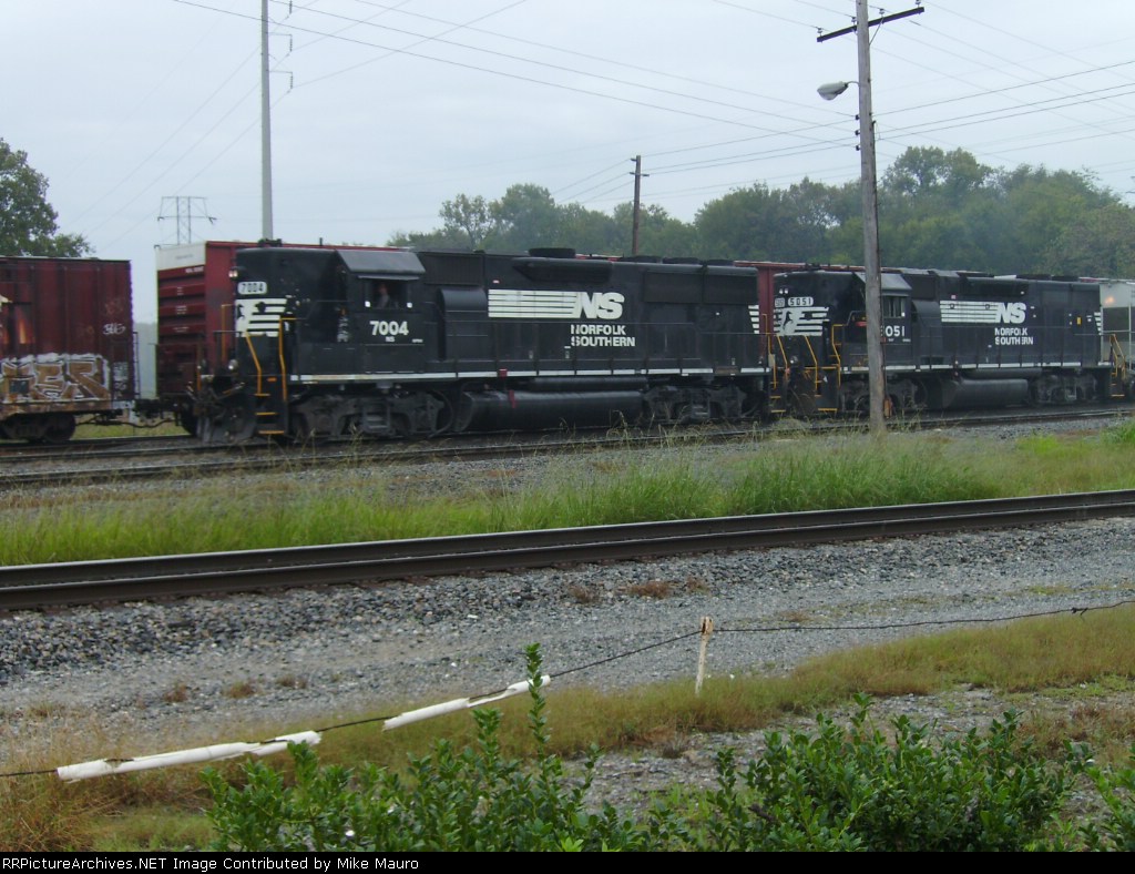NS 7004